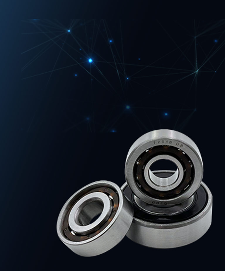 Ball Screw, Lead Screw, Linear Module, Linear Motion Components ...